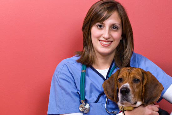 Pet First Aid & CPR Certification & Classes Online | ProTrainings.com