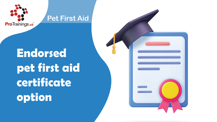 Endorsed pet first aid certificate option | Advanced Pet First Aid ...