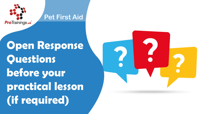 Open Response Questions before your practical lesson (if required ...